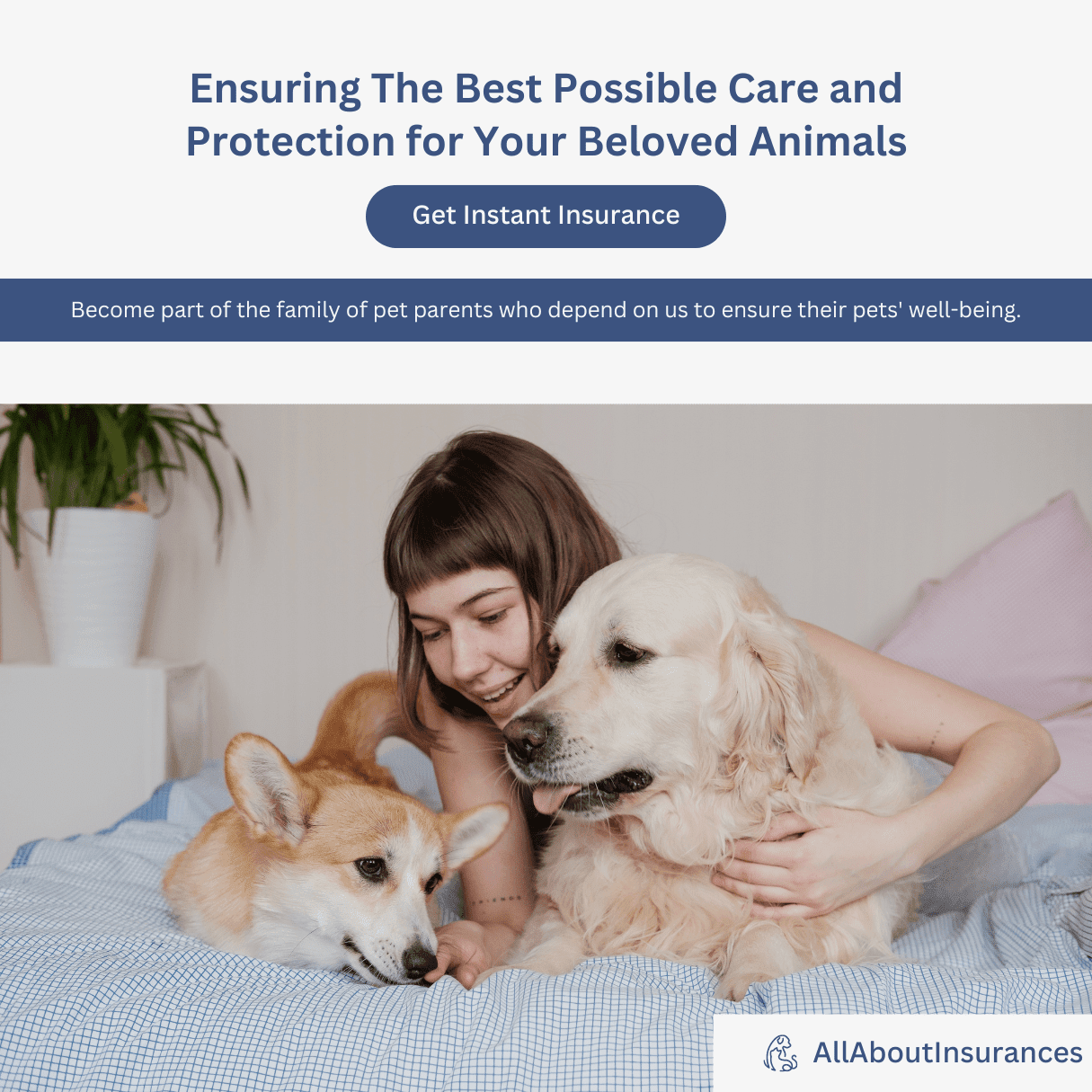 Everything To Know About Pet Insurance In 2024: